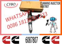 China Fuel Injector Assembly 6087807 3087560 3411766 3083846 3083622 3411759 4384360 For Cum-mins Engine N14 for sale
