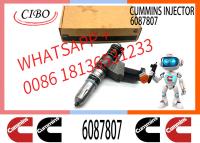 China Fuel Injector Assembly 6087807 3087560 3411766 3083846 3083622 3411759 4384360 For Cum-mins Engine N14 for sale