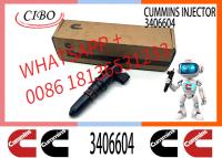 China PT Injector 3095773 3406604 3016676 3411821 3064881 3054218 3018566 for sale