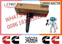 China PT Injector 3095773 3406604 3016676 3411821 3064881 3054218 3018566 for sale