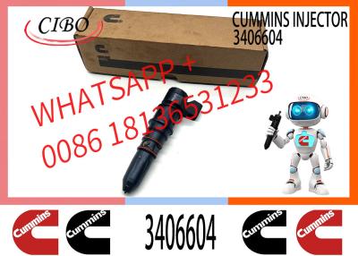 China PT Injector 3095773 3406604 3016676 3411821 3064881 3054218 3018566 for sale