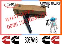 China Fuel Injector Assembly 3087648 3406604 3071497 4914328 3079946 For Cum-mins Engine M11 PT for sale