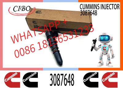China Fuel Injector Assembly 3087648 3406604 3071497 4914328 3079946 For Cum-mins Engine M11 PT for sale
