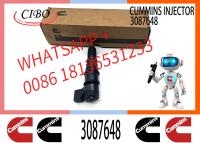 China Fuel Injector Assembly 3087648 3406604 3071497 4914328 3079946 For Cum-mins Engine M11 PT for sale