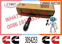China Diesel Fuel Injector 4913325 3054218 3054253 For NT855 NTA855 Engine for sale