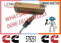 China Diesel Engine Fuel Injector 1521977 1511696 1846351 579264 1731091 579253 570016 579251 for C-UMMINS engine for sale