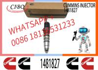China fuel injector 1464994 579251 1529790 1473430 1481827 1511696 1521978 1764364 579263 1499257 for sale