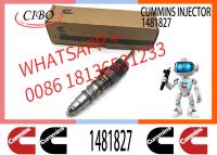 China fuel injector 1464994 579251 1529790 1473430 1481827 1511696 1521978 1764364 579263 1499257 for sale