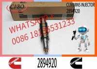 China Diesel Engine Parts Truck Engine ISX15 QSX15 X15 Engine Common Rail Fuel Injector 2872405 2894920 5579415 for sale