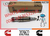 China 2029622 Diesel Common Rail Fuel Injector 1948565 2030519 2031836 2031835 2086663 2419679 2086663 2057401 1948565 2029622 for sale