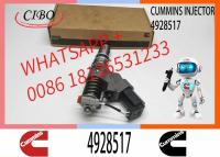 China 4903472 4928517 3411845 402622200PX Injector QSM11 QSM11-C R455LC-7 OEM for sale