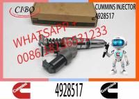 China 4903472 4928517 3411845 402622200PX Injector QSM11 QSM11-C R455LC-7 OEM for sale