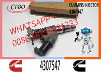 China 4307547 4061851 Ism11 Qsm11 Engine Fuel Injector For Excavator Diesel Engine Parts For Sale for sale