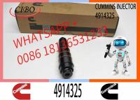 China ELIC Excavator 3054218 3054253 3032392 4914308 4914325 Engine Common Rail Fuel Injector for sale