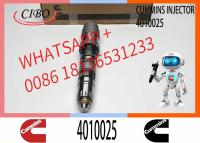 China Injector Nozzle Assembly 4010025 4001813 4087893 4088427 4326780 QSK19 QSK23 QSK60 Engine Series for sale