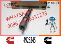 China Injector Nozzle Assembly 4928345 4087886 4010029 4001830 QSK19 QSK23 QSK60 Engine Series for sale