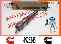China Injector Nozzle Assembly 4928345 4087886 4010029 4001830 QSK19 QSK23 QSK60 Engine Series for sale