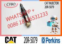 China Common Rail Fuel Injector 456-3493 20R-5036 456-3509 456-3544 20R-5079 363-0493 367-4293 20R-1318 For  336E C9.3 for sale