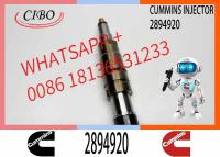 China Diesel Common Rail Fuel Injector 2086663 1933613 1881565 2894920. Compatible for sale