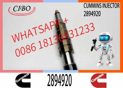 China Diesel Common Rail Fuel Injector 2086663 1933613 1881565 2894920. Compatible for sale