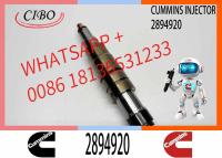 China Diesel Common Rail Fuel Injector 2086663 1933613 1881565 2894920. Compatible for sale