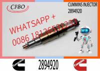 China Diesel Common Rail Fuel Injector 2086663 1933613 1881565 2894920. Compatible for sale