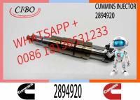 China Diesel Common Rail Fuel Injector 2086663 1933613 1881565 2894920. Compatible for sale