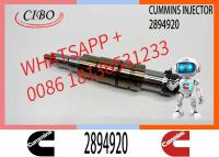 China Diesel Common Rail Fuel Injector 2086663 1933613 1881565 2894920. Compatible for sale