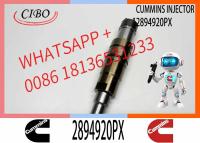 China Common rail injector fuel injecto 2894920PX 2058444 2482244 2031386 for ISZ13 Excavator DC09 DC16 DC13 for sale