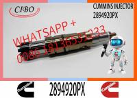 China Common rail injector fuel injecto 2894920PX 2058444 2482244 2031386 for ISZ13 Excavator DC09 DC16 DC13 for sale