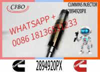 China Common rail injector fuel injecto 2894920PX 2058444 2482244 2031386 for ISZ13 Excavator DC09 DC16 DC13 for sale