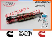China Common rail injector fuel injecto 2894920PX 2058444 2482244 2031386 for ISZ13 Excavator DC09 DC16 DC13 for sale
