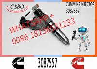 China 3411752 Diesel Machinery Engine Fuel Injector 3084589 3411754 3087557 3411753 For M11 for sale