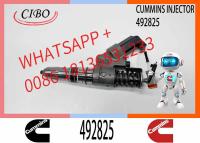 China 492825 High Quality QSM11 ISM11 M11 Fuel Injector 3411754 3411756 3609925 3083849 3087772 3411755 for sale