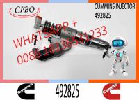 China 492825 High Quality QSM11 ISM11 M11 Fuel Injector 3411754 3411756 3609925 3083849 3087772 3411755 for sale