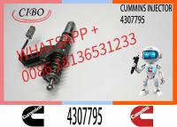 China Wholesale High Level Fuel Injector 4307795 3087733 3095086 3411691 3411759 3411764 3411765 3411766 4307516 3083846 30875 for sale