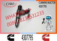 China Wholesale High Level Fuel Injector 4307795 3087733 3095086 3411691 3411759 3411764 3411765 3411766 4307516 3083846 30875 for sale