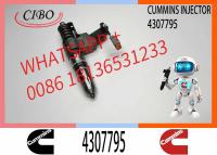 China Wholesale High Level Fuel Injector 4307795 3087733 3095086 3411691 3411759 3411764 3411765 3411766 4307516 3083846 30875 for sale