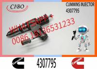 China Wholesale High Level Fuel Injector 4307795 3087733 3095086 3411691 3411759 3411764 3411765 3411766 4307516 3083846 30875 for sale