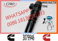 China Diesel Common Rail Injector 3406604 3411821 3071497 3087648 4914328 3018835 3079946 For C-ummins M11 Engine for sale