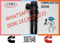 China Diesel Common Rail Injector 3406604 3411821 3071497 3087648 4914328 3018835 3079946 For C-ummins M11 Engine for sale