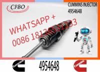 China Diesel Fuel Pump Unit Injector Assembly 1499257 4954648 579251 579263 1764364 Engine Parts for sale
