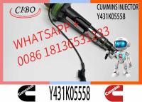 China Y431K05417 QSK19 Diesel Engine Common Rail Fuel Injector Y431K05558 4964171 for sale