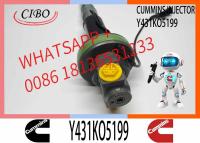 China Hot Sale Diesel Fuel Injector 4955526 Y431K05199 For QSK50 QSK38 QSK19 Engine for sale
