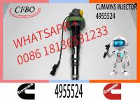 China Neutral QSK19 QSK60 Fuel Injector F00BL0J019 2867149 4964173 4955527 4964170 F00BL0J020 4955524 4918073 for sale