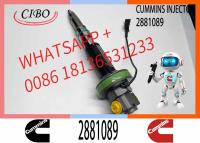 China NINE BRAND High Quality Diesel Injector 2881089 Qsk19 Injector Fuel Injector 2881089 for sale