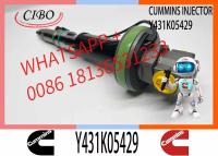China NINE Brand High Performance Diesel Injector Y431K05429 Fuel Injector Y 431 K05 429 for sale