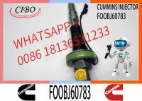 China Nine Brand Good Performance High Quality Auto Parts Diesel Common Rail F00BJ60783 Injector for sale