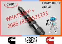 China Injector Nozzle Assembly 4928347 QSK19 QSK23 QSK60 Engine Series for sale