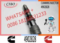 China QSK23 QSK45 QSK60 Diesel Engine Common Rail Injector 4902828 4088428 4326780 4326781 4928346 for sale